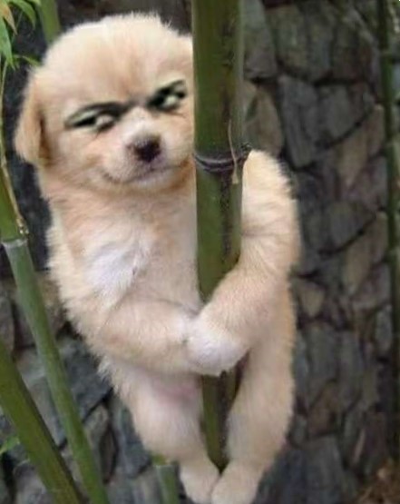 AI Lab (ai-lab-e698a) - Roboflow Universe