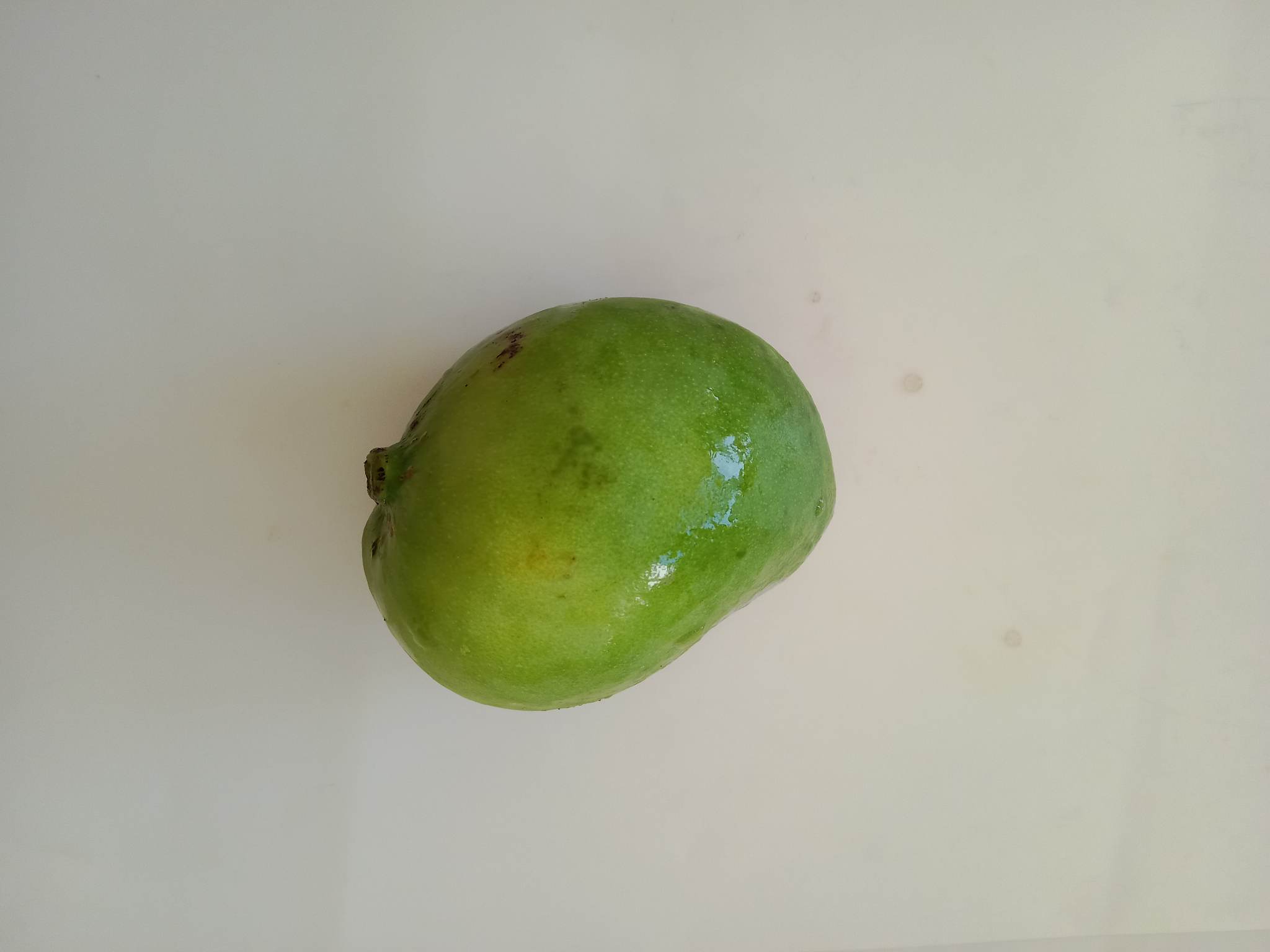 mango detector phase1 Object Detection Dataset by Glenn Galbadores