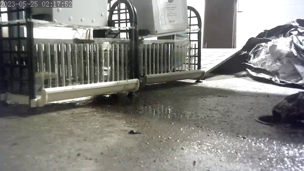 First Rat Detection Dataset And Pre Trained Model By Data From Engineering