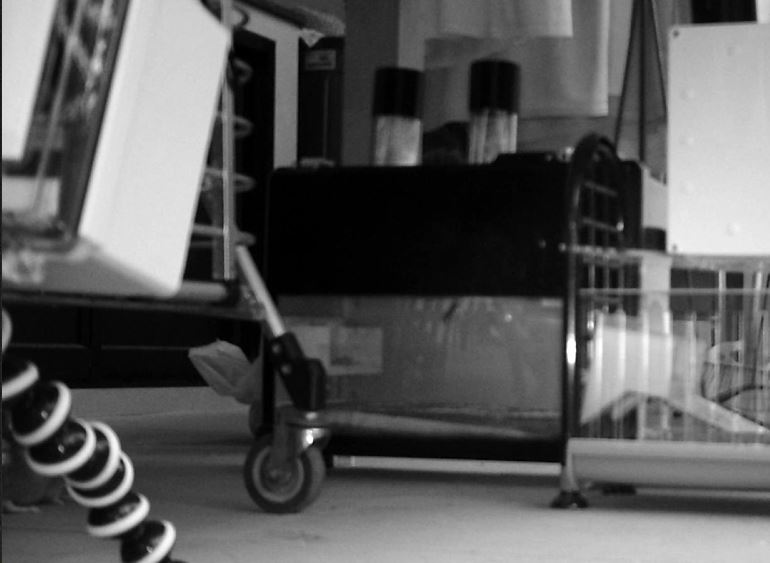 Improved_rat_data14012024 Object Detection Dataset by Data from Engineering