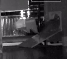 Final_rat_dataset Object Detection Model by Data from Engineering