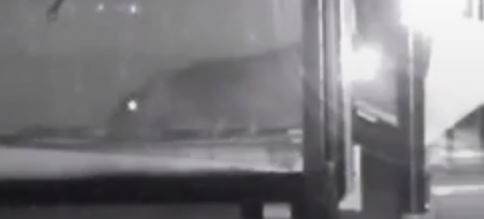 Live_rat_data_01/10/2024 Object Detection Dataset by Data from Engineering