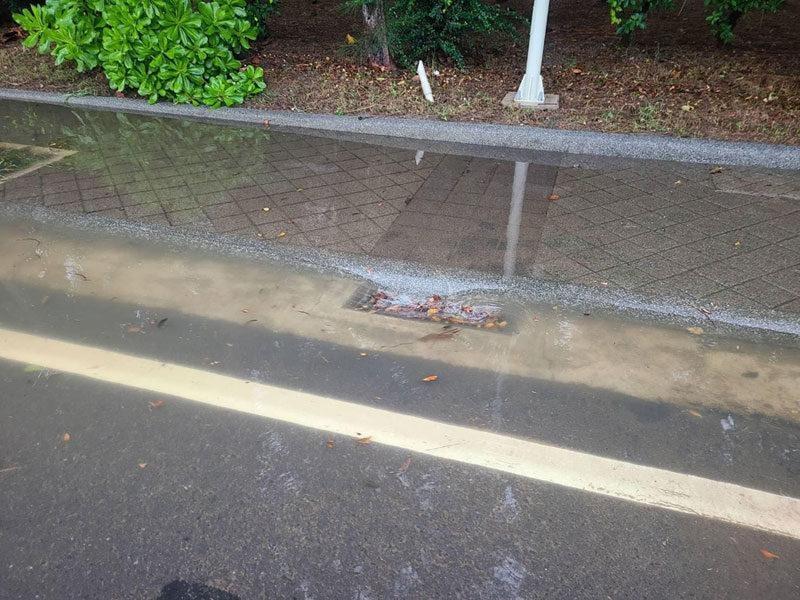 原圖 Instance Segmentation Dataset by ntu