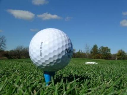 Golf ball External 4 Object Detection Dataset by FP