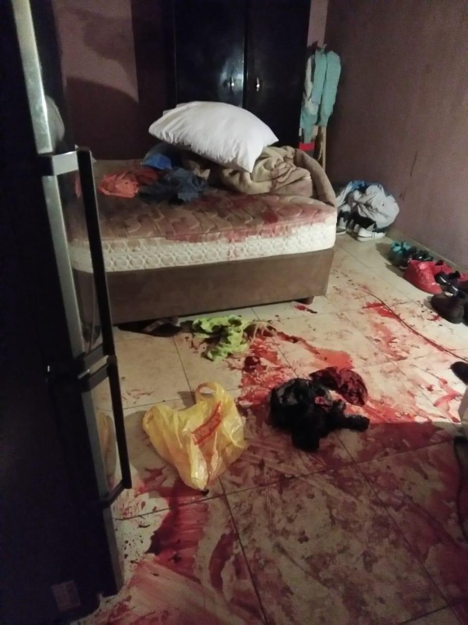 Crime Detection Object Detection Dataset and Pre-Trained Model by Crime Scene Detection