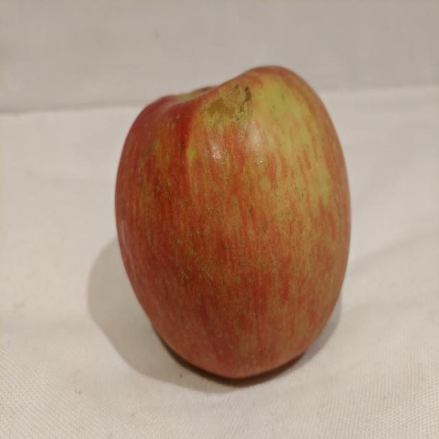 Fruits Instance Segmentation Dataset by FinalExam