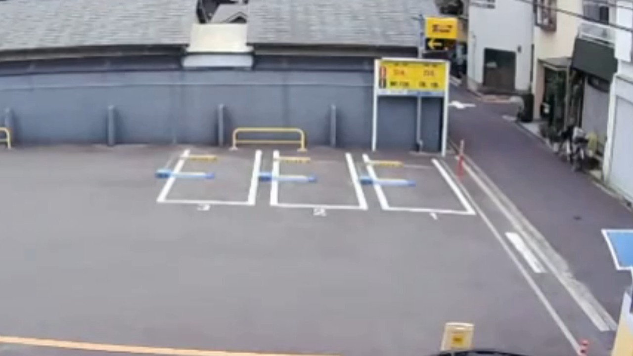 coco-augmented-seg-2 Instance Segmentation Dataset by ParkWatch