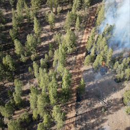 Wildfire_detect Object Detection Dataset by Finalwildfire