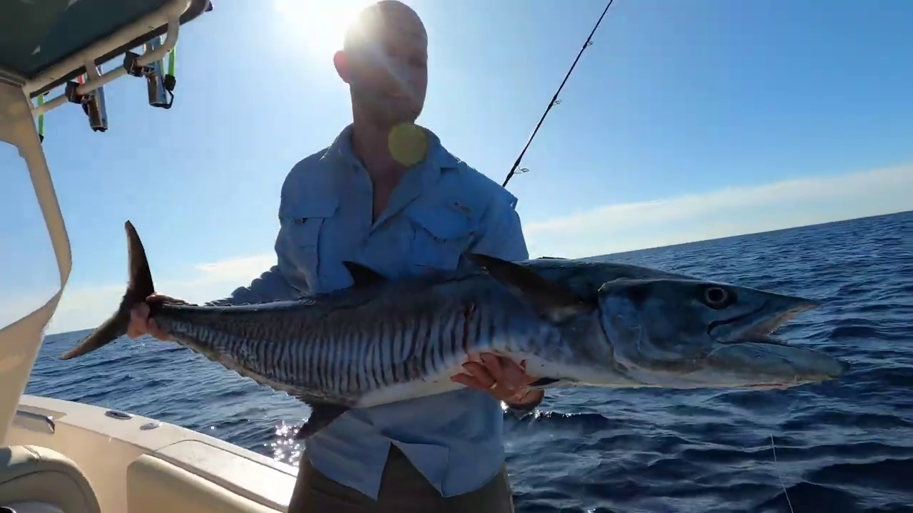 mackrel_1 Object Detection Dataset by Koreanfish2