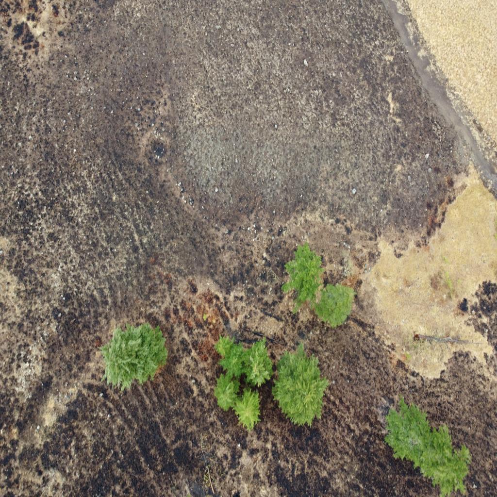 Fire Object Detection Dataset by Tree