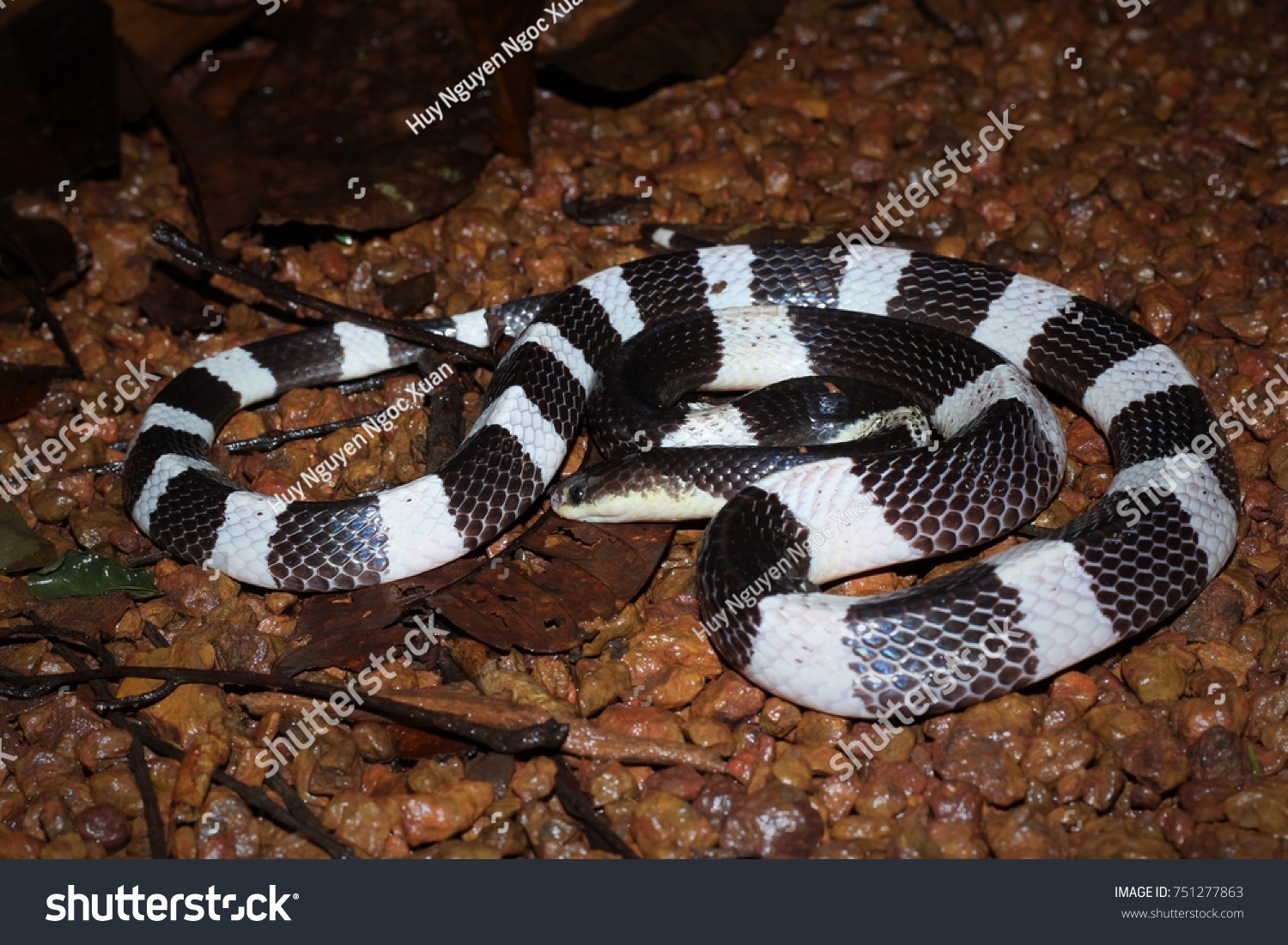 Project AI Final Object Detection Model (v4, Final) by Thanadon