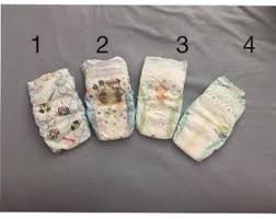 auto-generated-dataset-CSE493-trash Instance Segmentation Dataset by Robin Wang