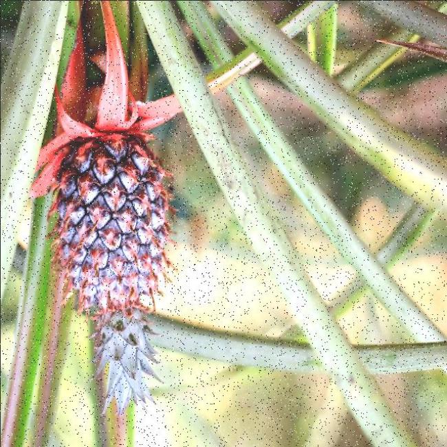 Pineapple Classification - Roboflow Universe