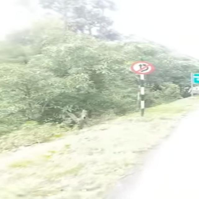 sign boards Object Detection Model by rit