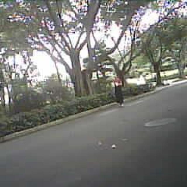 Crowd Detection1 Object Detection Dataset By Project Busny