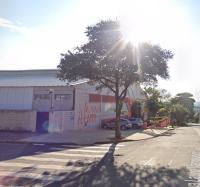 Pilot Tree Segmentation - Roboflow Universe