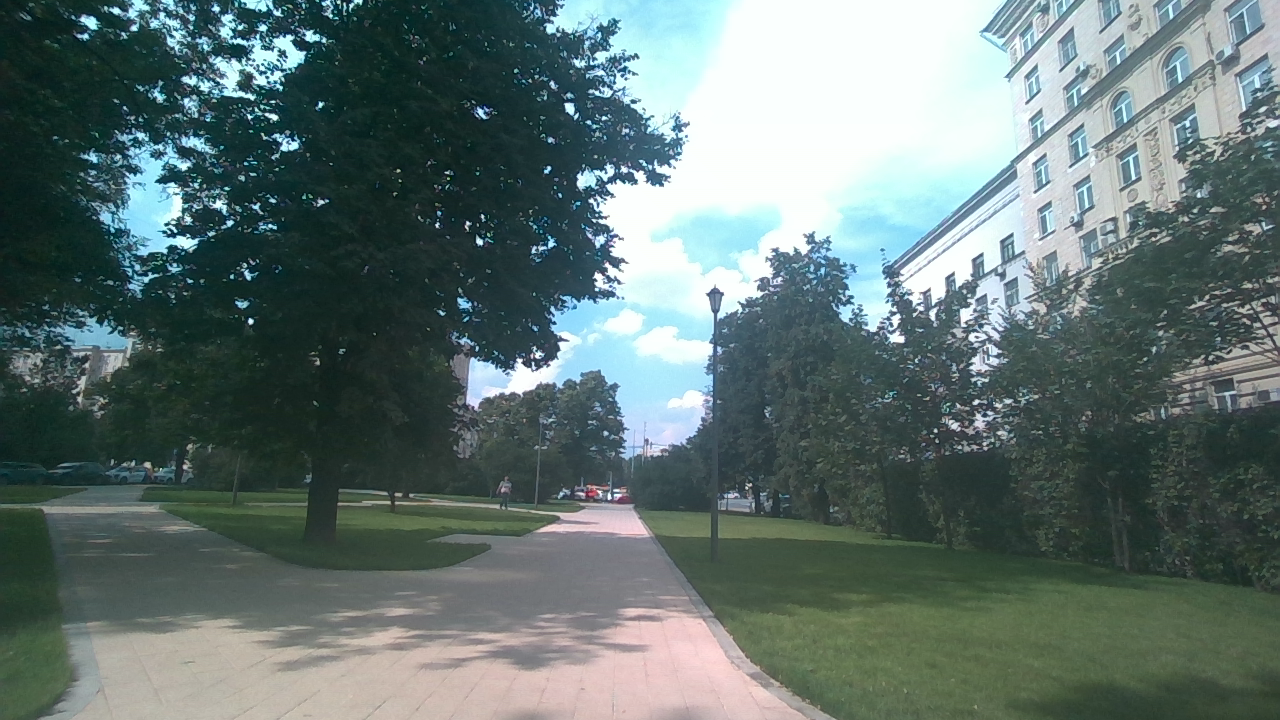 Study 3 Instance Segmentation Dataset and Pre-Trained Model by Pilot Tree Segmentation