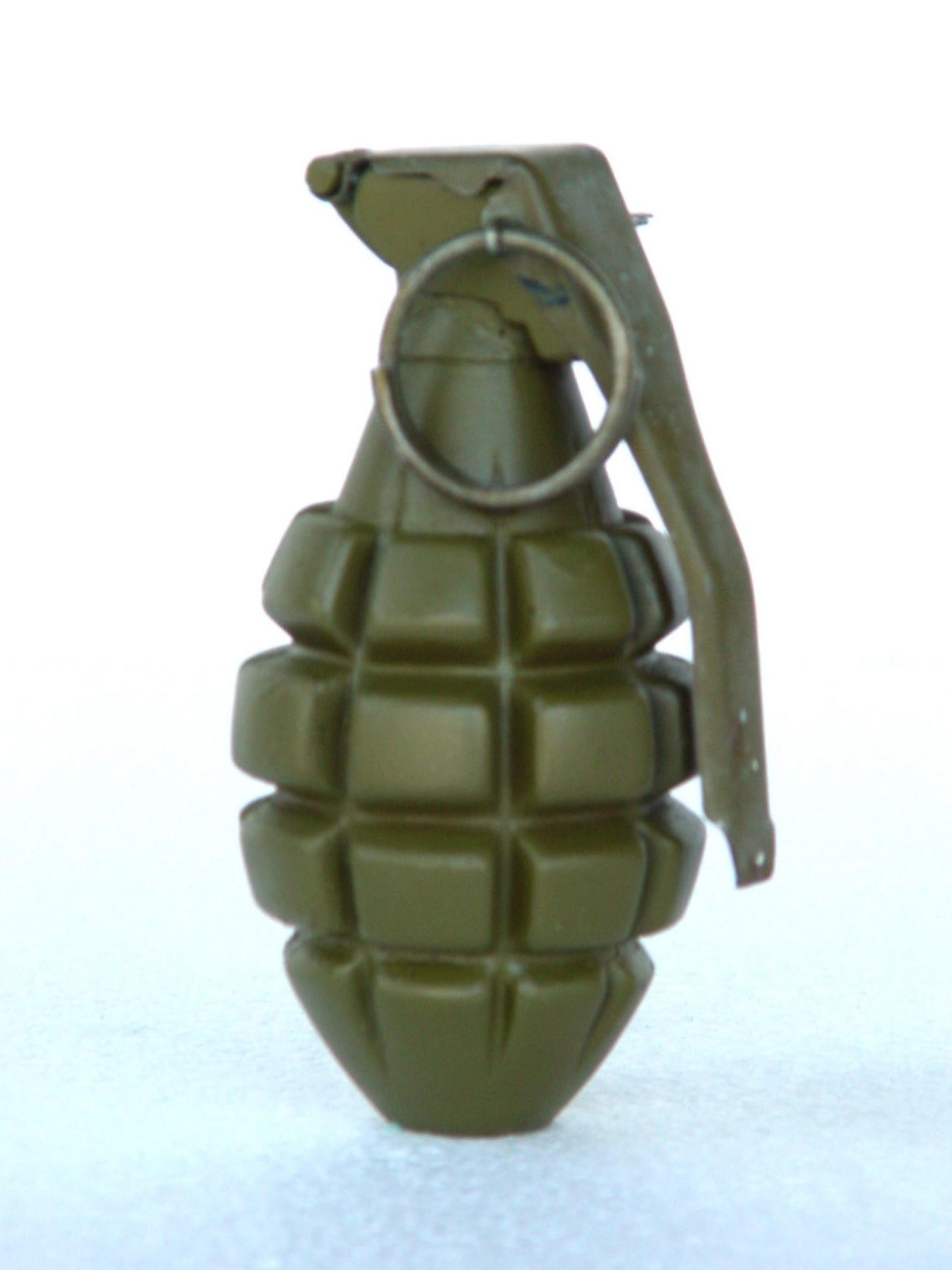 gra2 Object Detection Dataset by Home