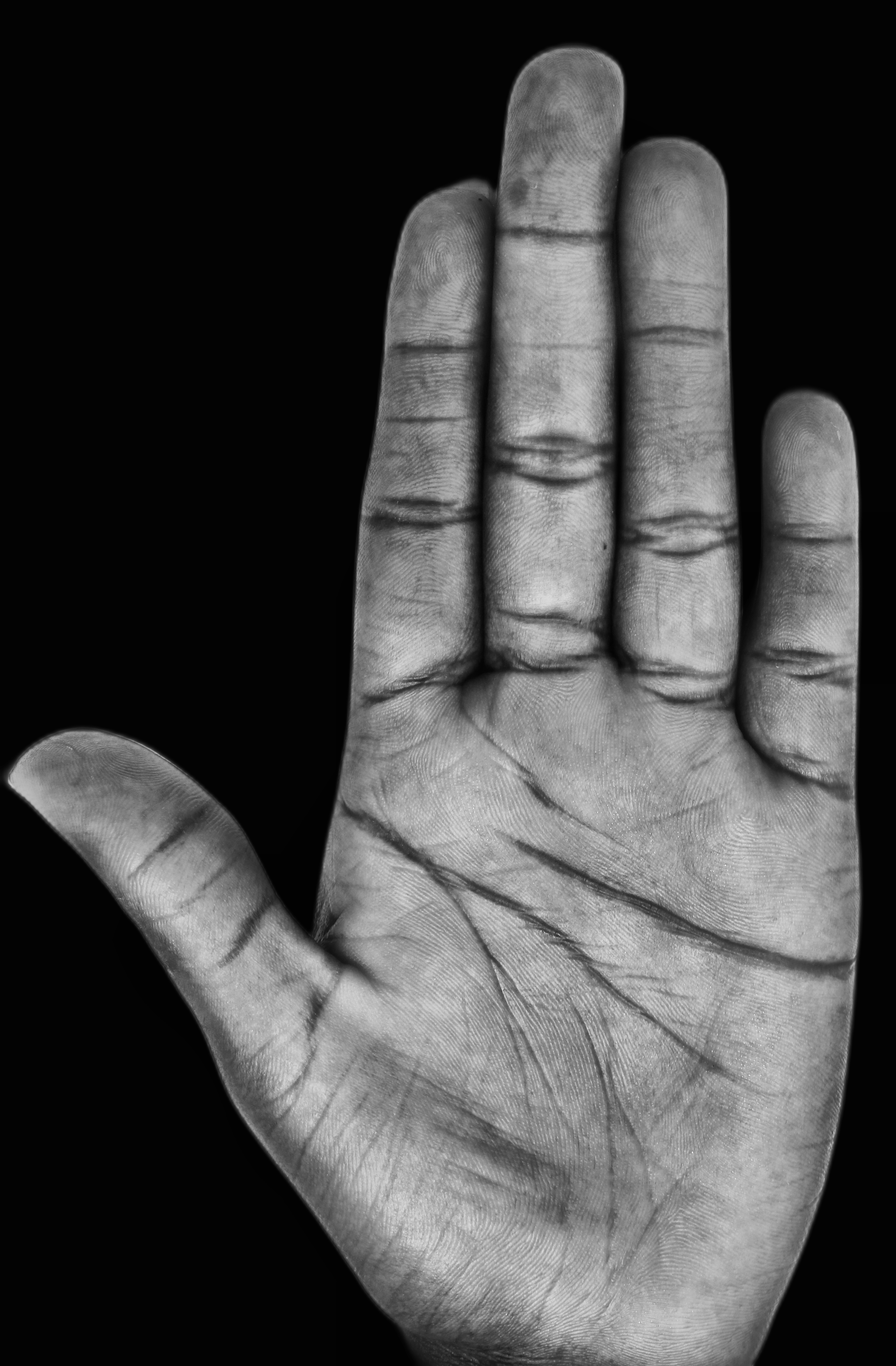 Persona Palmprint Keypoint Detection Dataset by Supernatural Diet Consultation