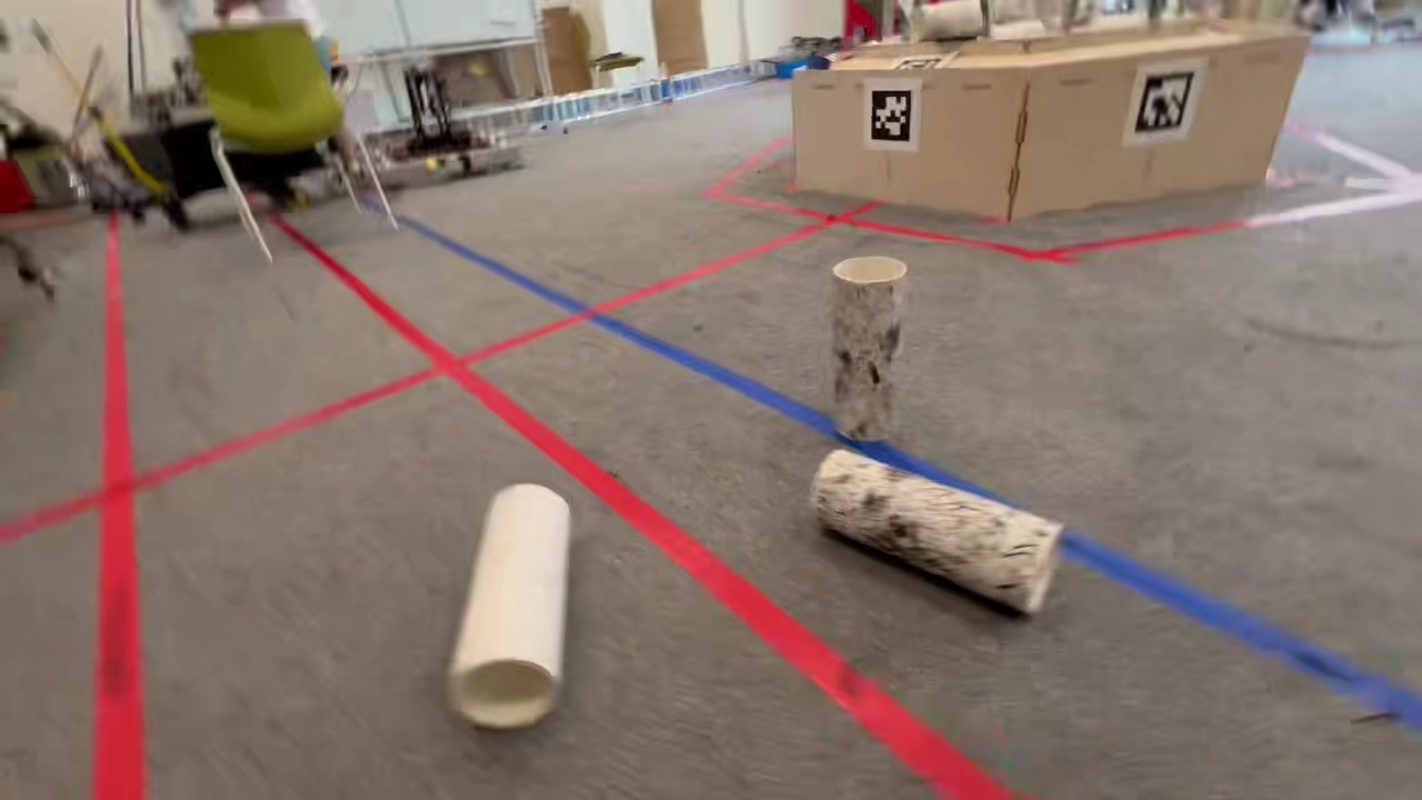 Coral Object Detection Dataset by Printstream