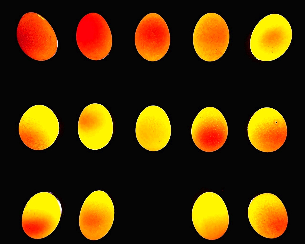 eggv7_train Object Detection Dataset by RNB THESIS
