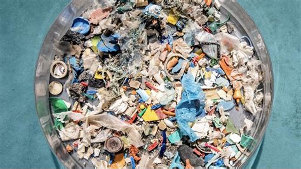 Research Project Recycling Object Detection Dataset And Pre Trained Model By Research Project