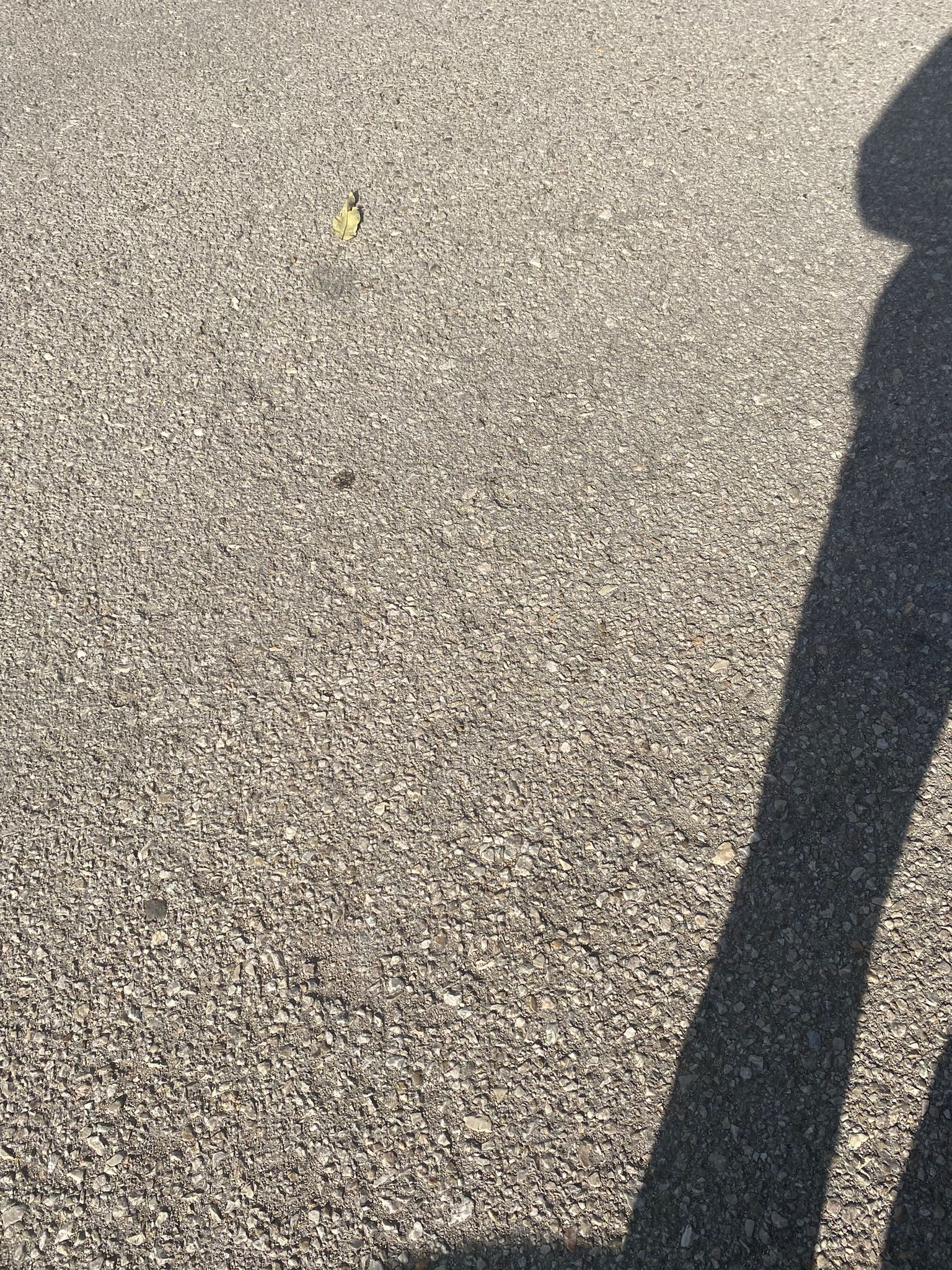 Texture-sidewalk Instance Segmentation Model by Sidewalk