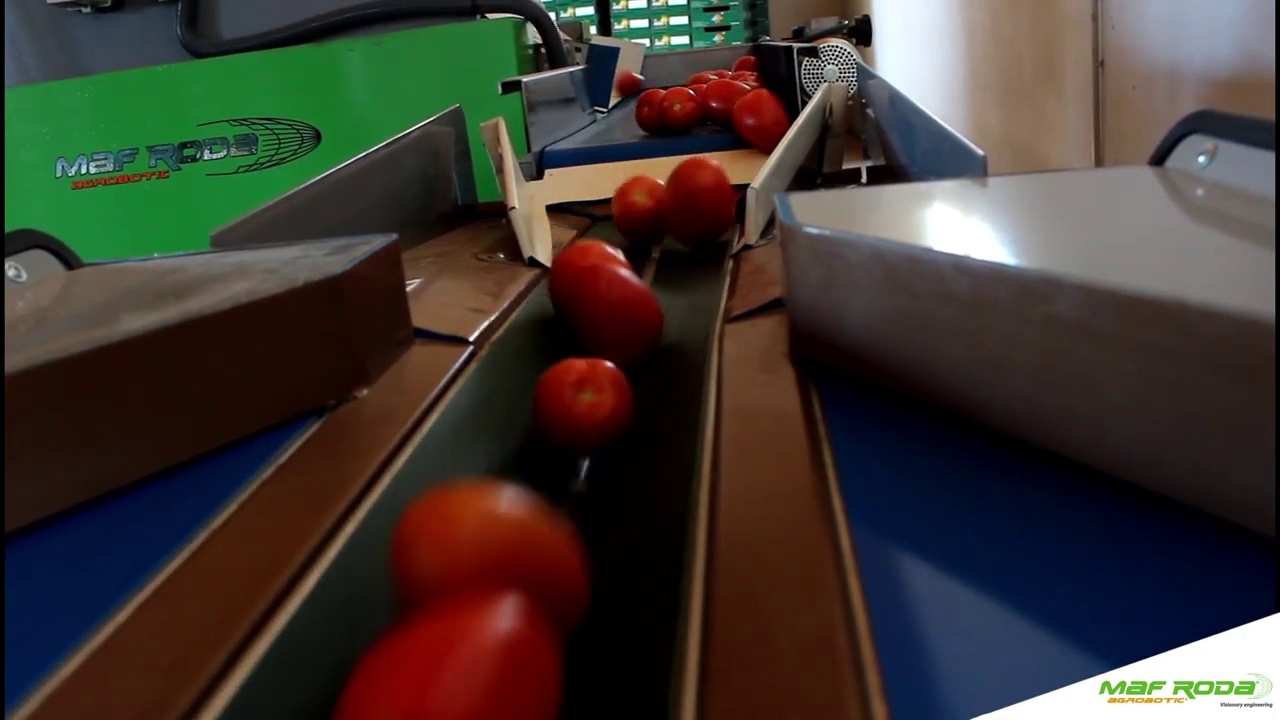 Tomato_Count_Project Object Detection Dataset by Canberk