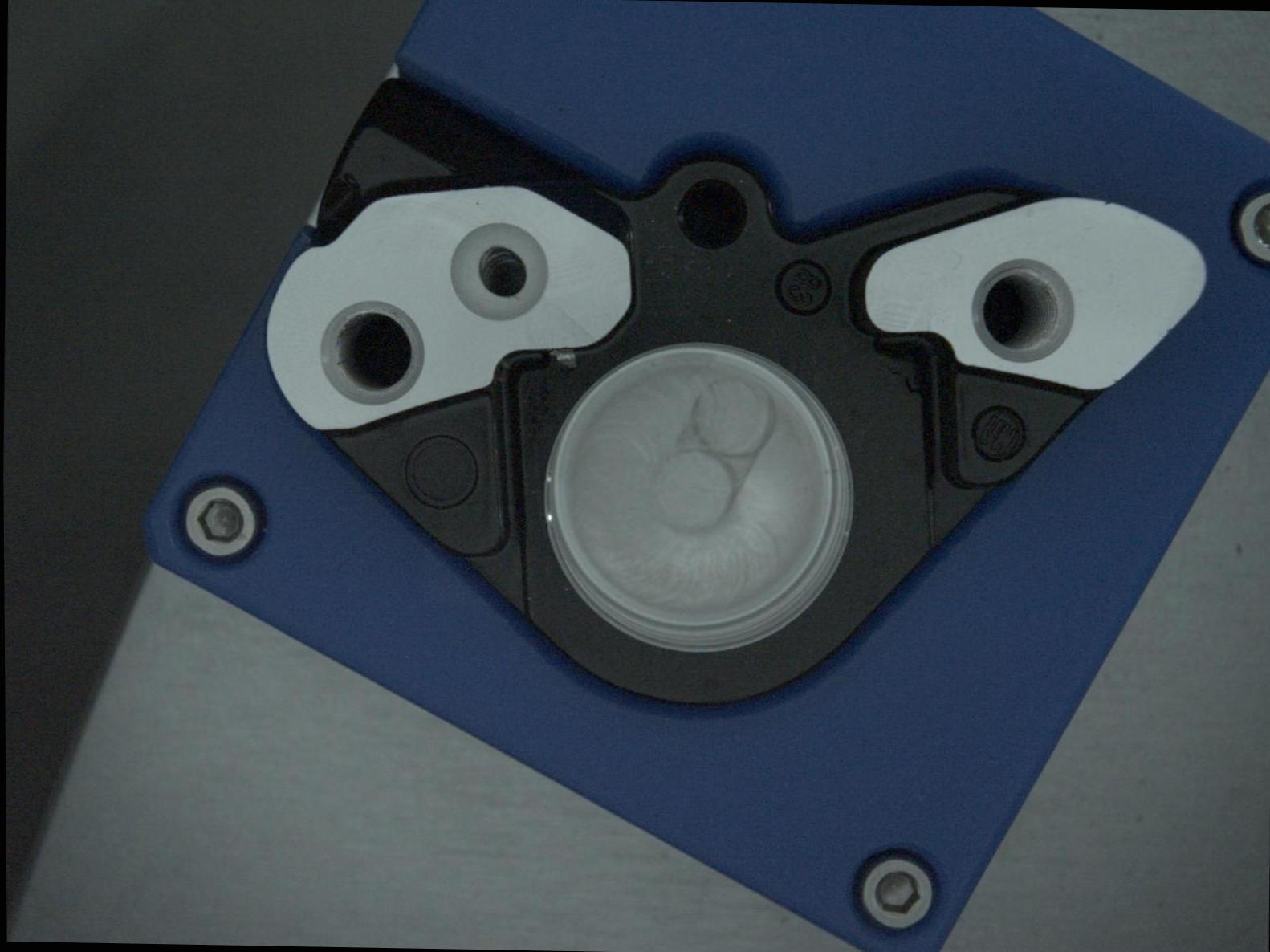 revise_v2 Object Detection Dataset by v2