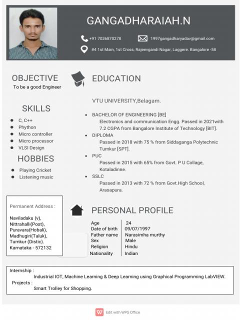 How to Use the resume layout Object Detection API