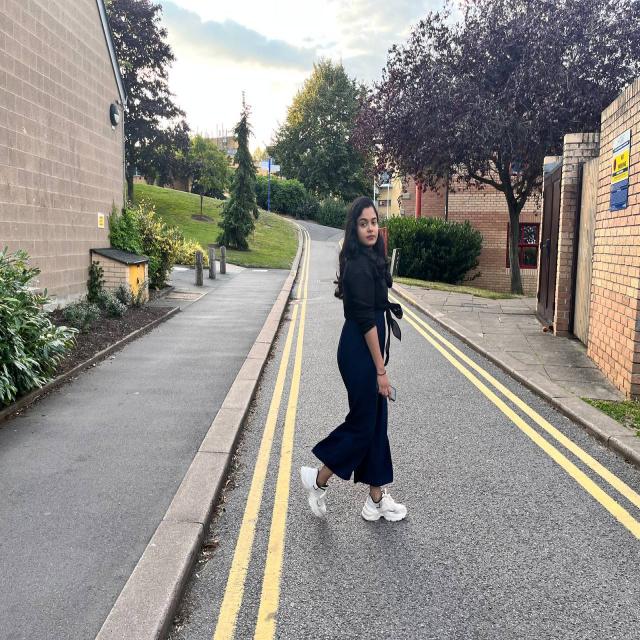 Pedestrian Object Detection Dataset By Traffic