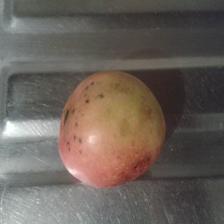 Yolov8 FYP mango Classification Model by YOLOv8 FYP Mango