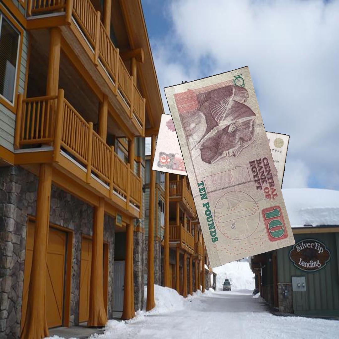 egyptian-money-detection-project Object Detection Dataset and Pre-Trained Model by future