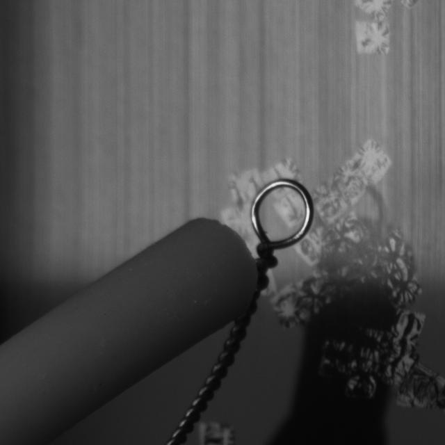 Thin sections Object Detection Dataset by sectionDetection