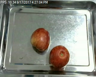 Fruit Identification Object Detection Model by Hello World