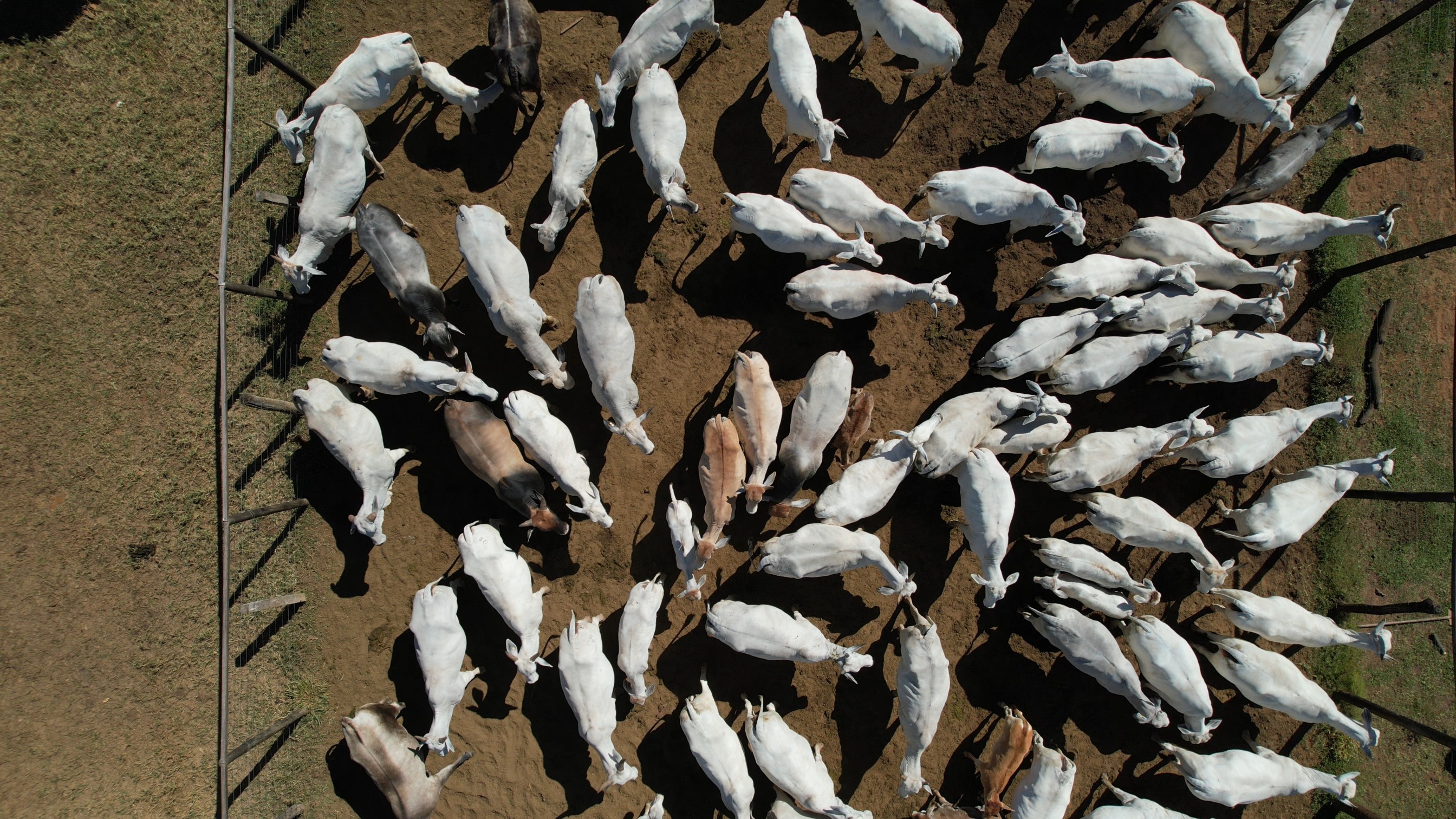 TREINAMENTO (treinamento-wumny) - Roboflow Universe