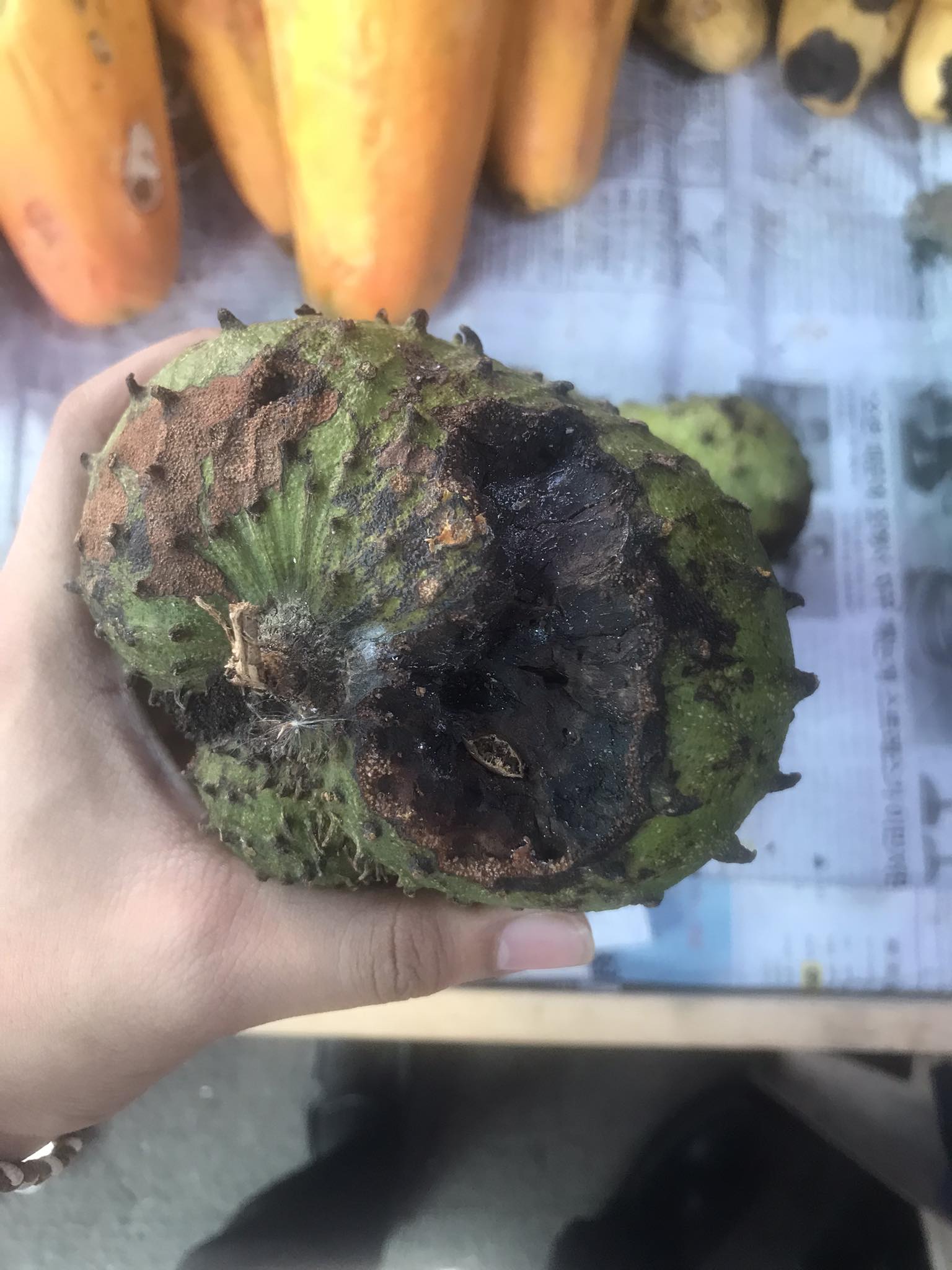 Soursop Object Detection Dataset and Pre-Trained Model by yd