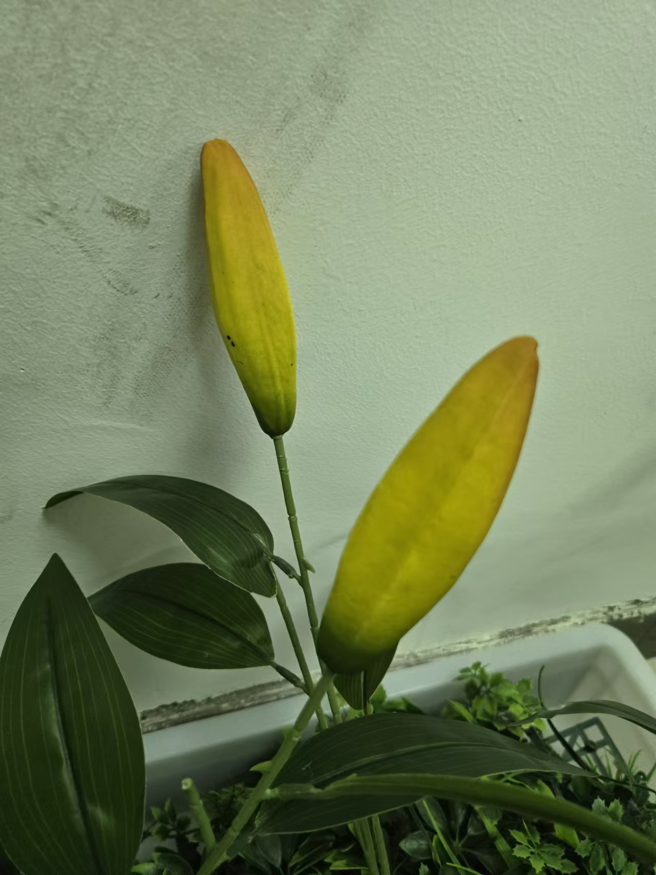 1217 Instance Segmentation Dataset by COD