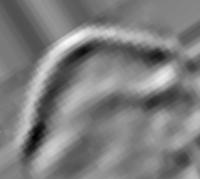 Mine detection Object Detection Dataset (v2, 2024-09-20 8:18am) by Model267