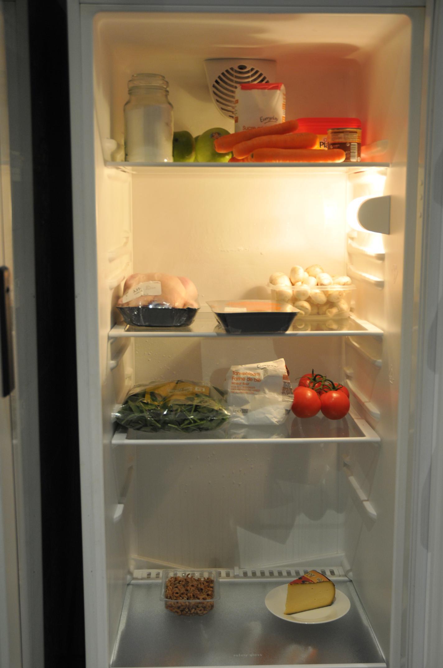 fridge-content-detector Object Detection Model by Hackathonmodeltest
