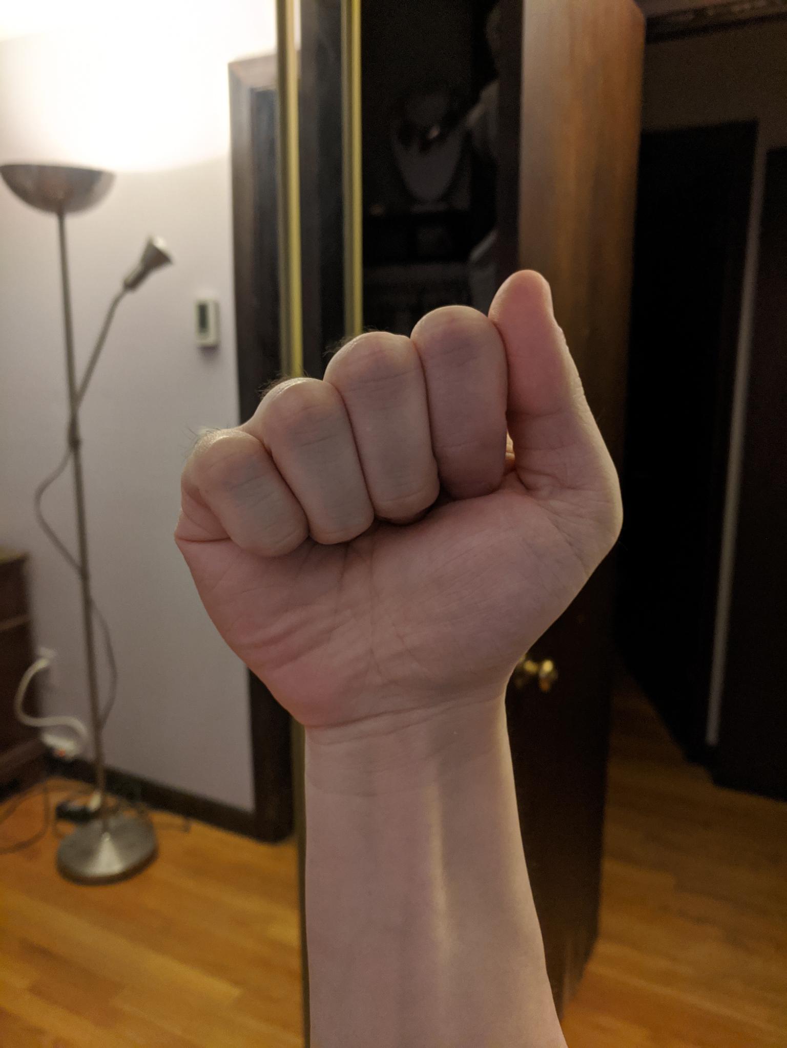 ASL Object Detection Model by PROJECT