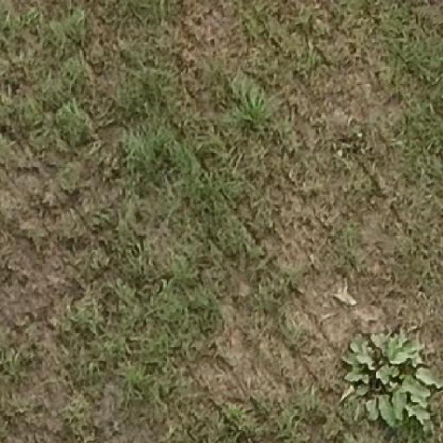 Weeds Object Detection Dataset by pws