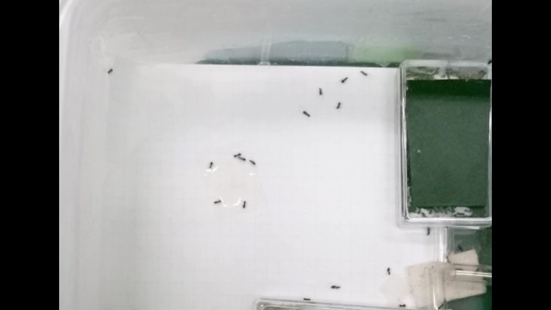 Hyogo University Roboflow Universe