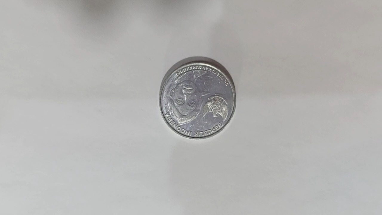 dua ratus rupiah3 Object Detection Model by try7