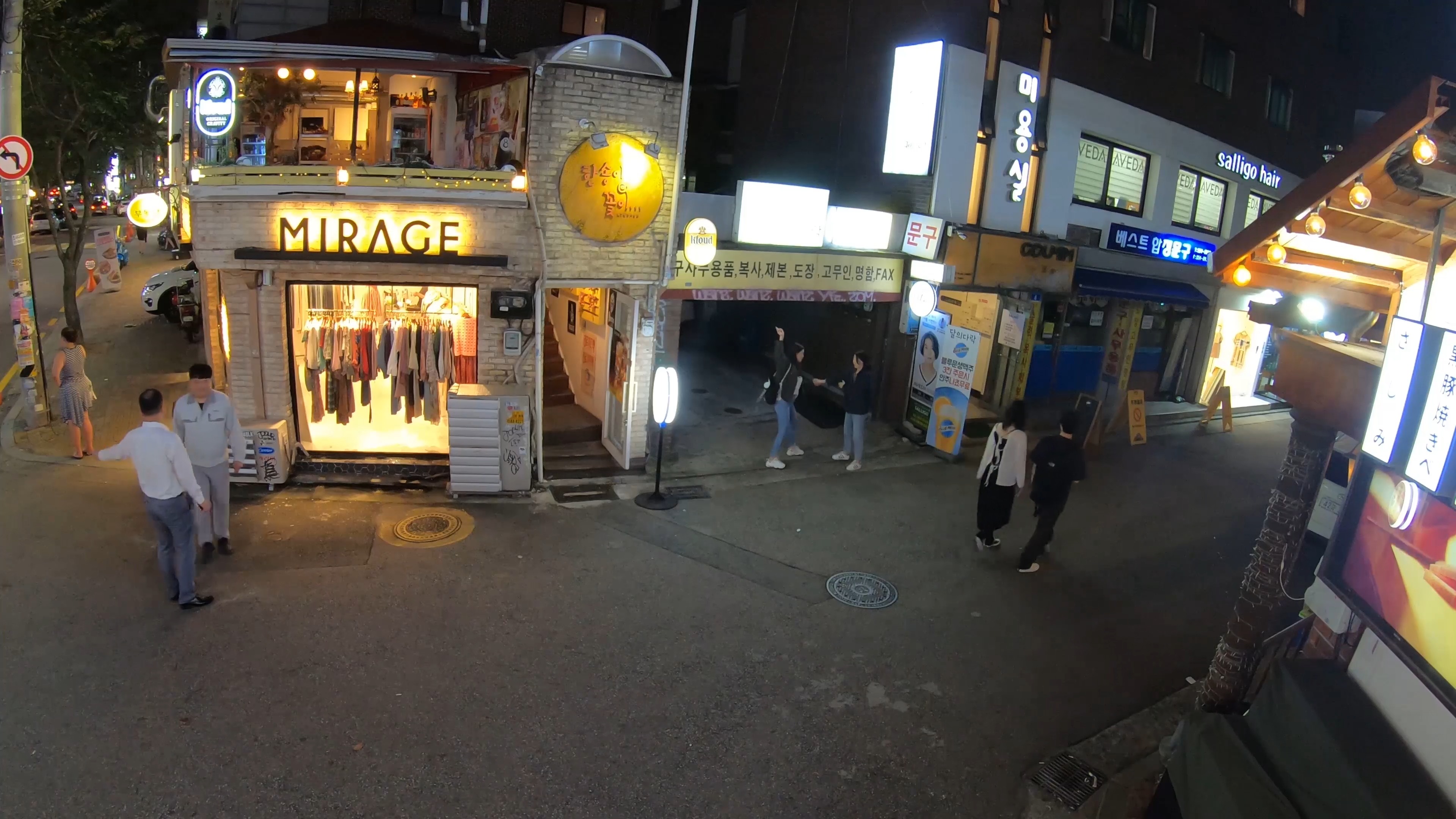 project1 Object Detection Dataset by project