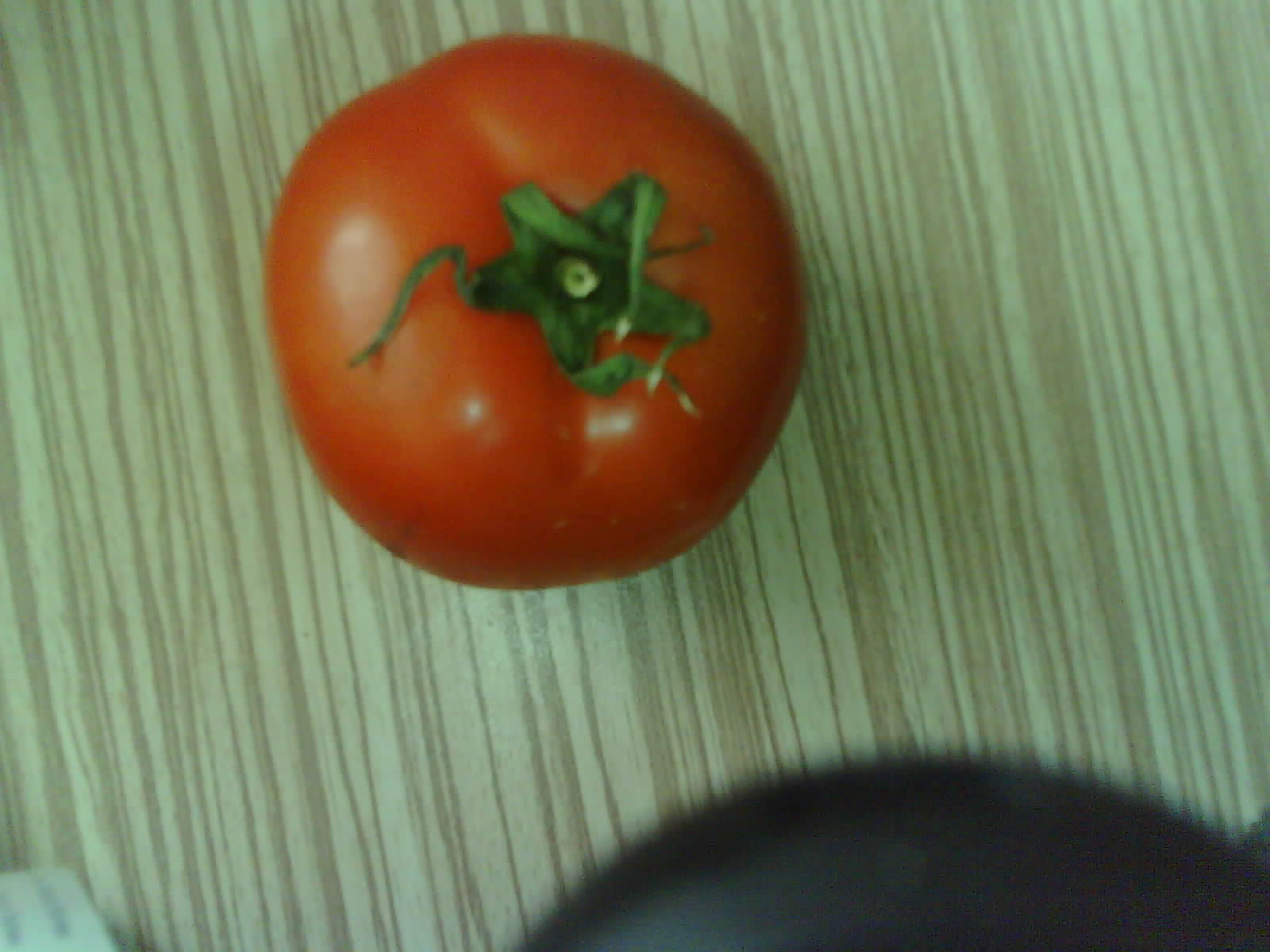 Tomato Object Detection Model by oguzhan