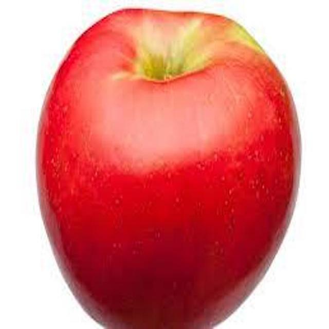 tutorial (tutorial-mt0el) - Roboflow Universe