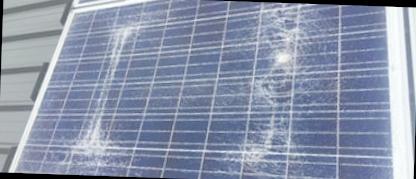 Solar-Panel-Obstructions Object Detection Dataset by Trees