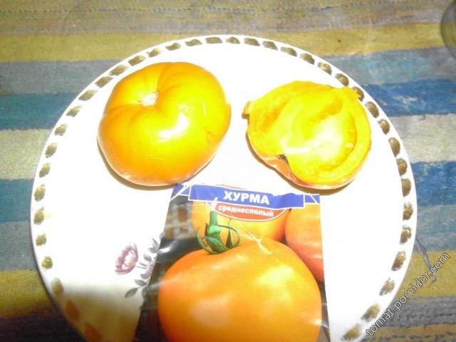 Fruit Detection Object Detection Dataset by Fruit Detection using ...