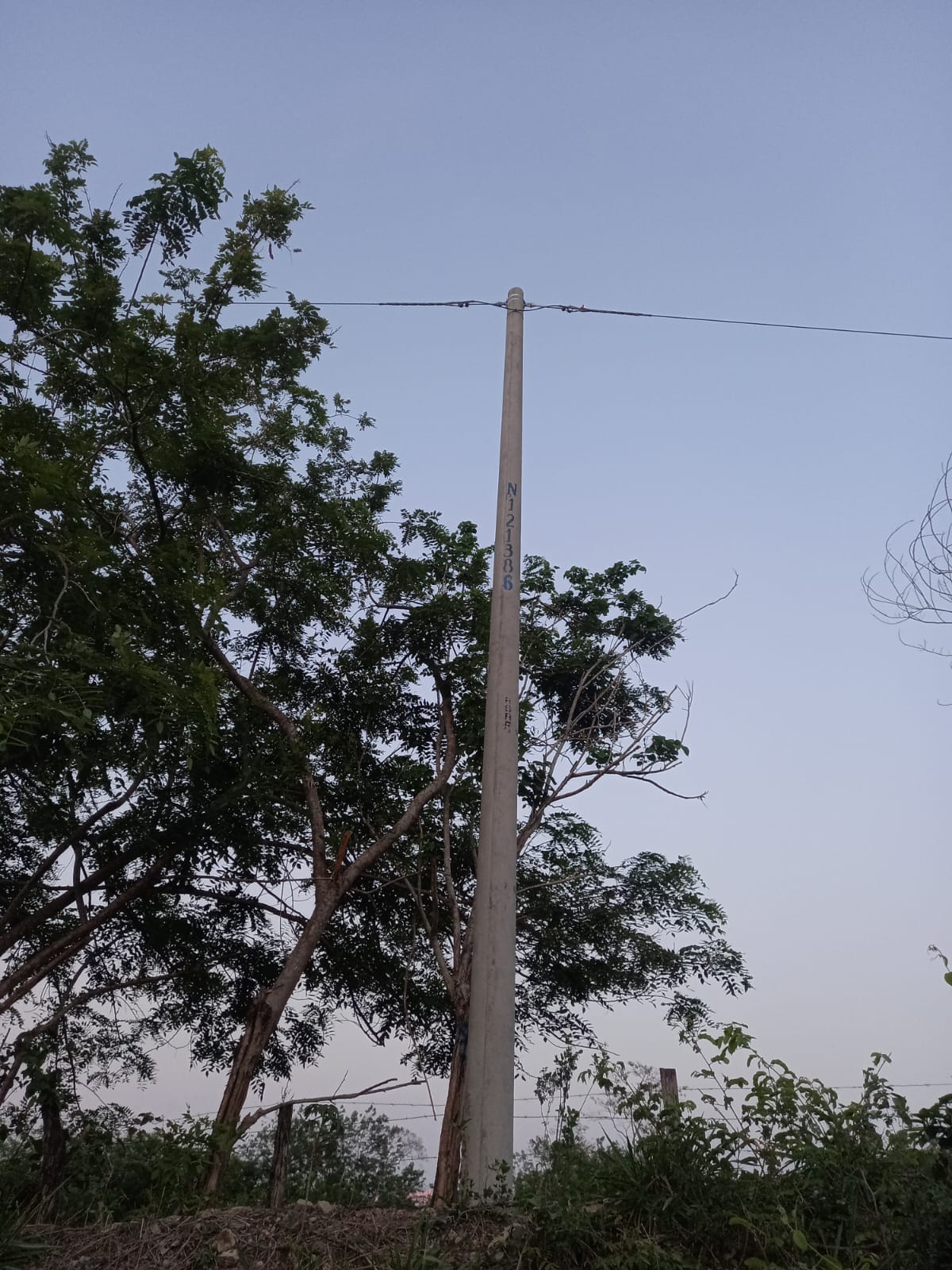 How to Use the NoteCam extraction Object Detection API